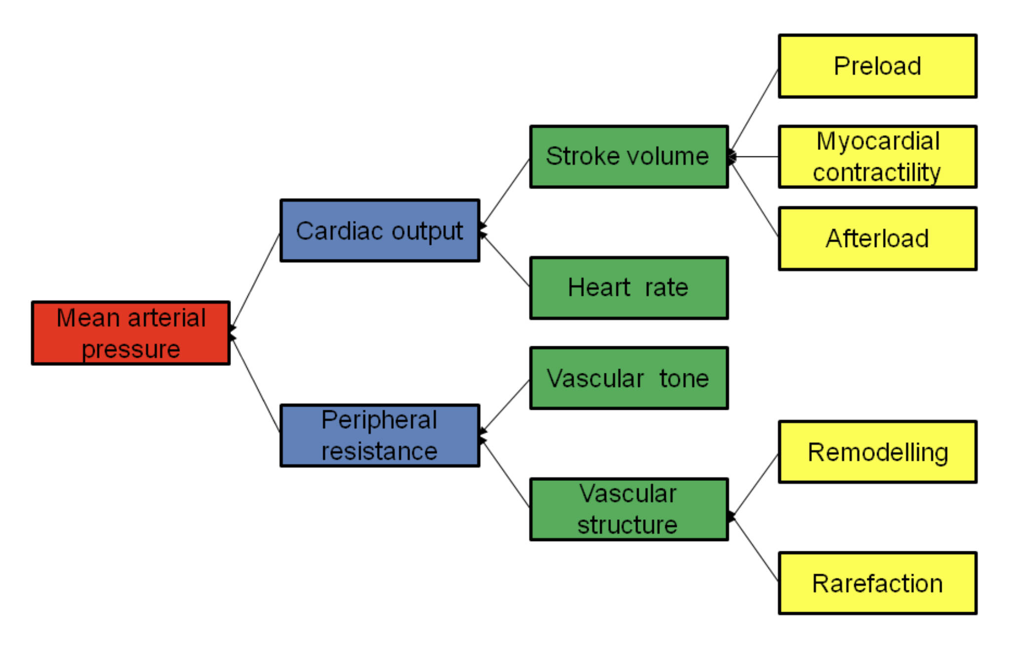 Diagram explaining the determinants of mean arterial pressure - Anatomy ...